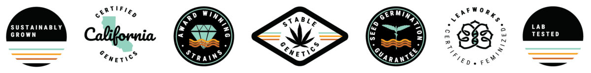 RASPBERRY PARFAIT CANNABIS STRAIN - Cannabis Seeds | Humboldt Seed Company